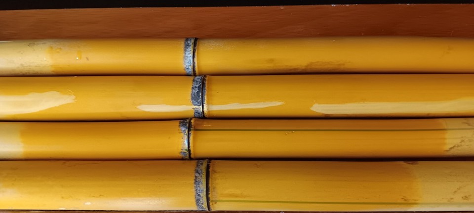 1" FRESH CUT BAMBOO CHOOSE YOUR LENGTH | eBay