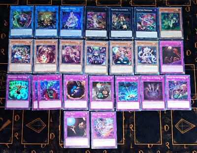 YUGIOH Traptrix Starter Deck /Set (Atypus /Sera /Allomerus /Vesiculo ...
