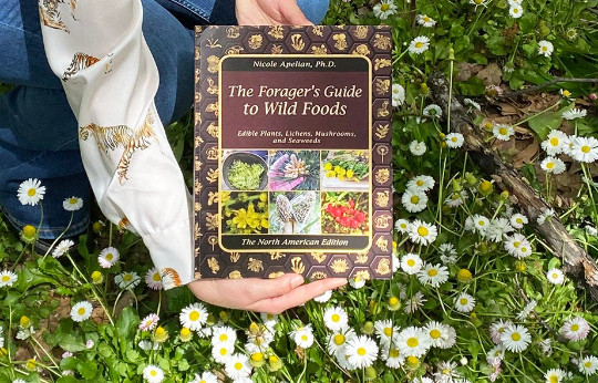 The Forager’s Guide to Wild Foods | Grelly USA