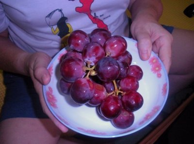 GRAPE SEEDS - RED TAME GIANT MUSCADINE GRAPE - Super Sweet Fruit - 15 ...