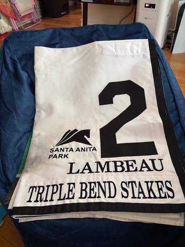 horse racing saddle cloth | eBay