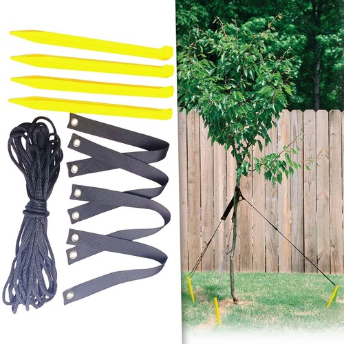 Heavy Duty Tree Fixing Ground Nail Stake with Braid Rope for tree ...
