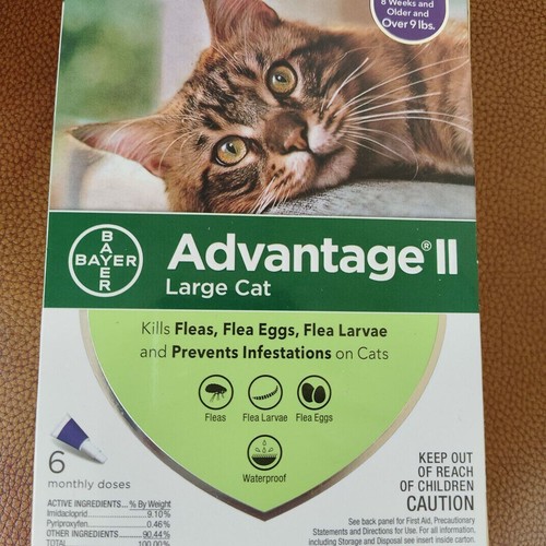 Advantage II Topical Flea Treatment 6 Doses for Large Cats | eBay