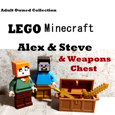 LEGO Minecraft Minifigure Set Alex & Steve 2017 2020 Adult Personal ...