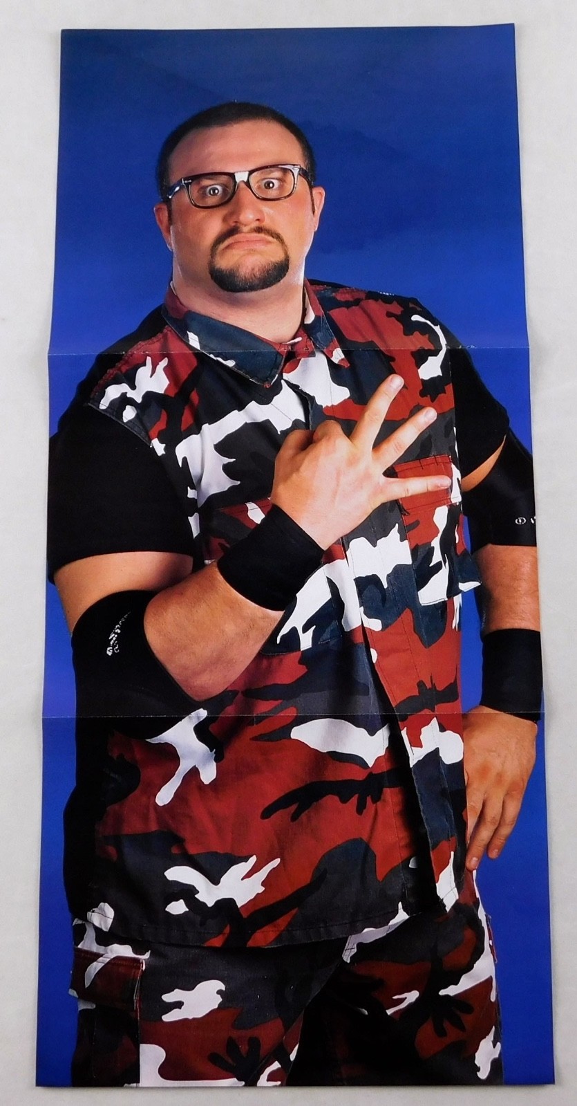 Bubba Ray Dudley DVon WWF Wrestling Poster 11x23 New 2-Sided Wrestler ...