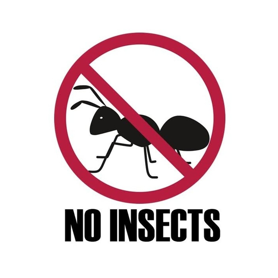 Rompox Easy pre-Mixed Permeable Joint Compound for Patios, Pavers and ...