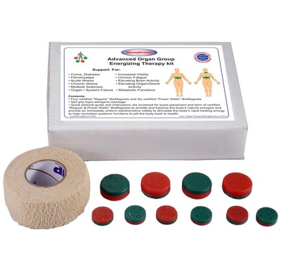 ORGAN THERAPY Health Magnets Liver Kidneys Brain Magnetic Energy ...