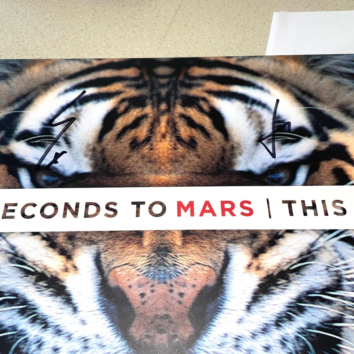 This Is War 30 Seconds To Mars Tiger