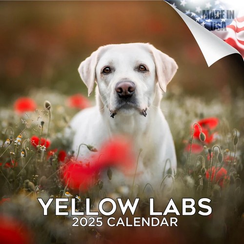Labrador Retriever Yellow Labs Wall Calendar 2025 Animal DOG PET Lover ...