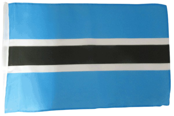 Courtesy Flag 1.5ft x 1ft Sleeved Polyester 180+ designs FREE P&P | eBay UK