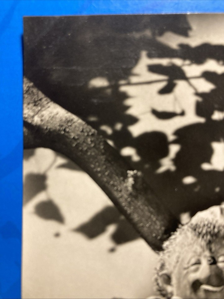 Mecki - Sag Du zu mir! • Diehl-Film • Gunkel Karte | eBay UK