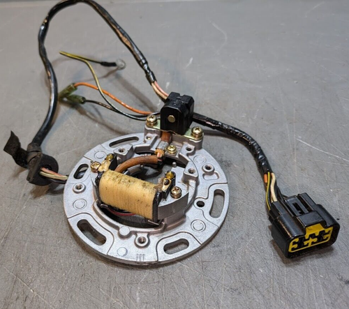Kawasaki KX100 KX85 Stator Generator 2001-2005 | eBay