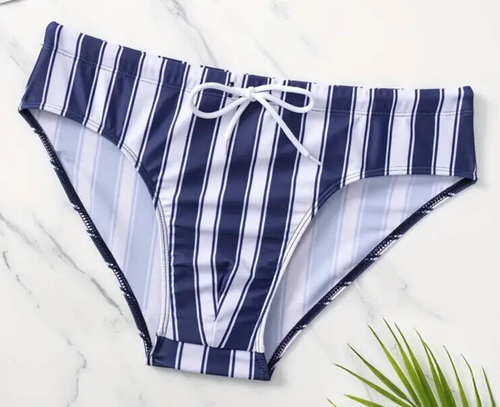 Navy Blue & White Vertical Stripes Print Men's Swim Briefs. Size Large ...