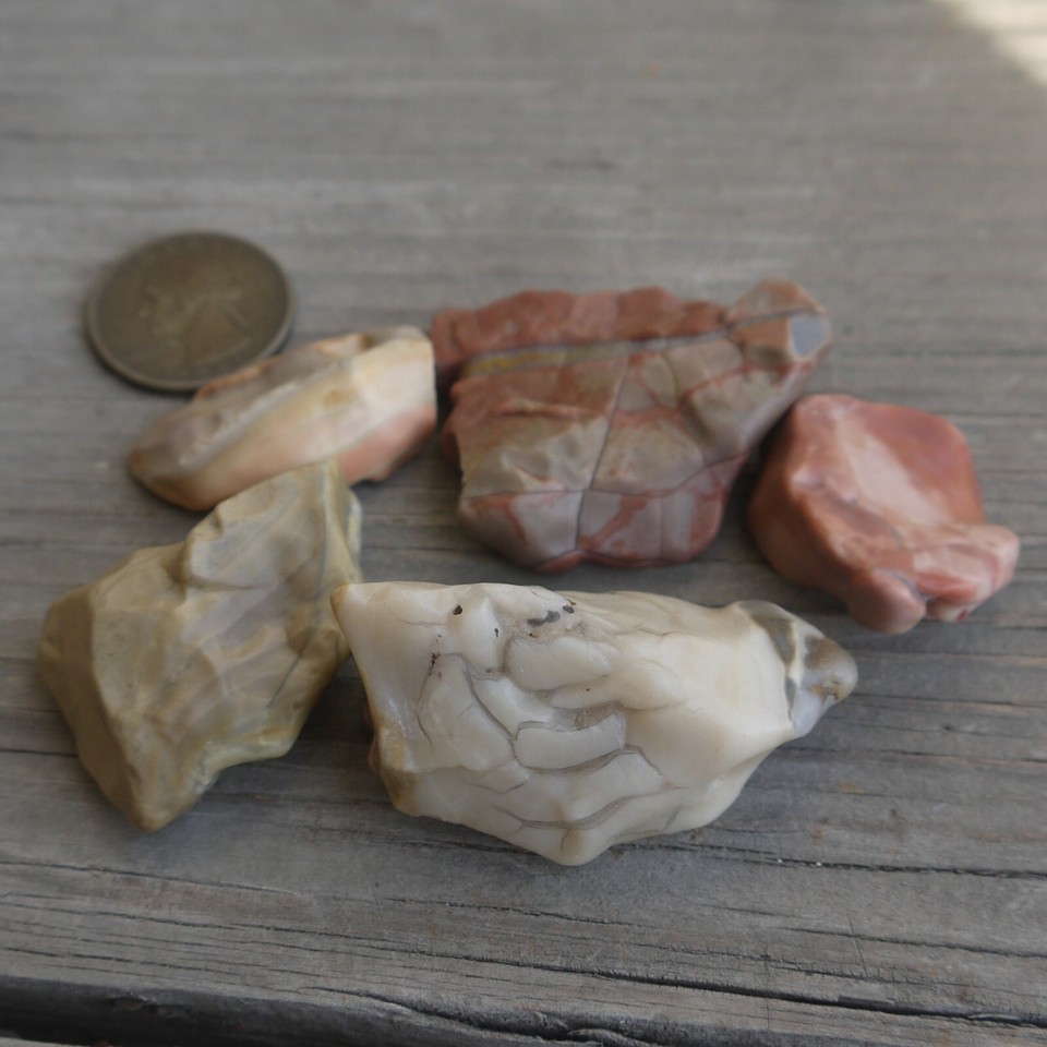 5pcs Natural Gobi Jasper stone for Bonsai Suiseki gm682 | eBay