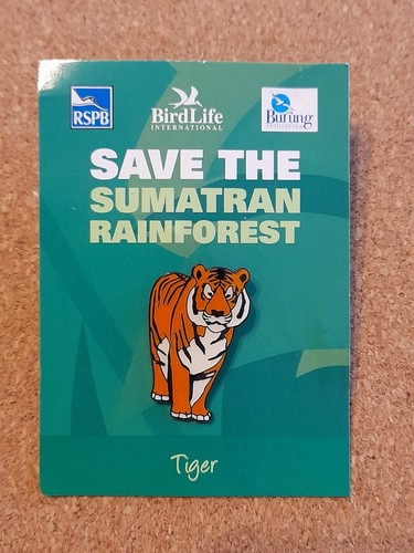 RSPB SUMATRAN TIGER SPECIAL Charity Pin Badge NOT TRIFOLD Single Card ...