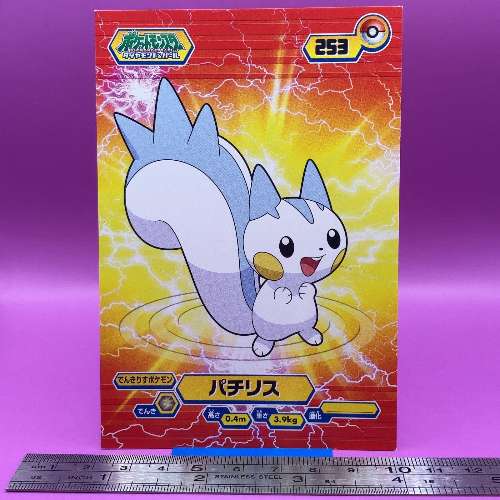 Pachirisu - Pokemon Bromide Card Diamond & Pearl Nintendo TCG Japanese ...