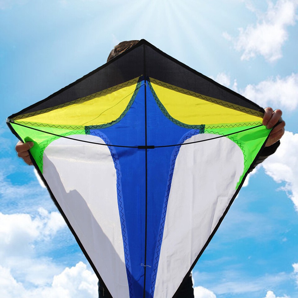 Single Line Kite with Long Tail Rainbow Kite Colorful Flight Kite for ...