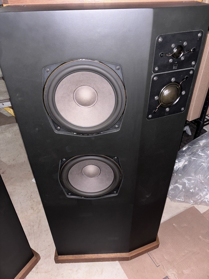 ADS a/d/s L1230 Speakers | eBay