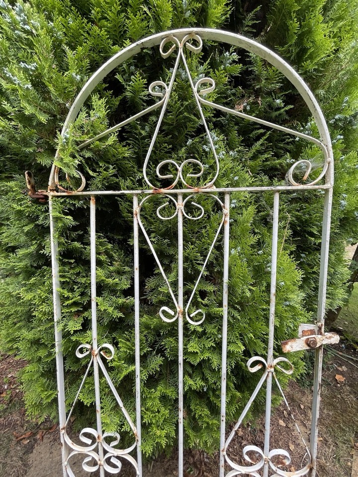 Garden Gate 175cm X 66cm. Metal hoop topped. With Hinges And Latch. Pre ...