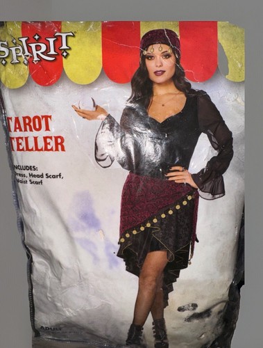 Tarot Reader Womans Full Costume Spirit Halloween Costume Size Medium ...