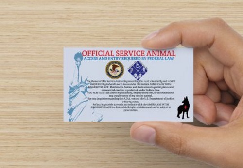 Service Dog Vest ESA Harness Emotional Support Animal Patches ALL ...