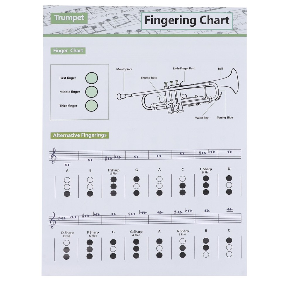 Trumpet Fingering Poster Pocket Chart for Music Chords Beginner ...