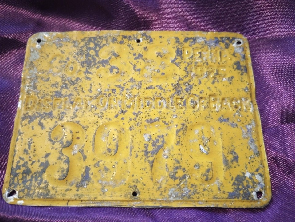 1925 Metal Pa Pennsylvania Resident Hunting License #3979 PGC Game ...