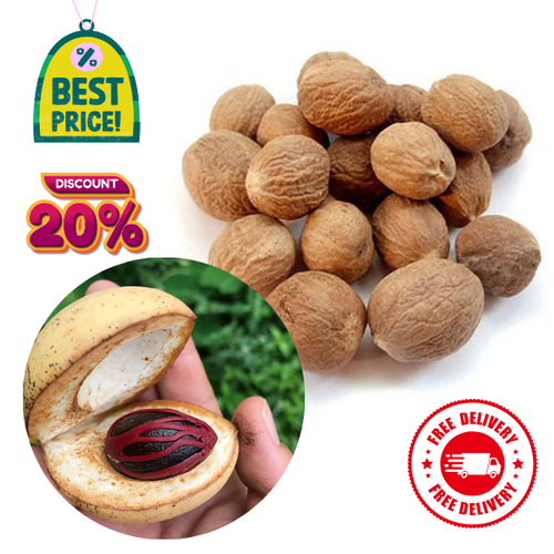 Nutmeg Whole Without Shell Grade A Quality Organic Herbs & Spices from ...
