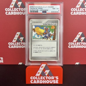 PokiChloe Ltd | eBay Stores