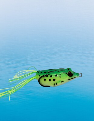 Frog Topwater Soft Fishing Lure For Snake Head And Bass | eBay