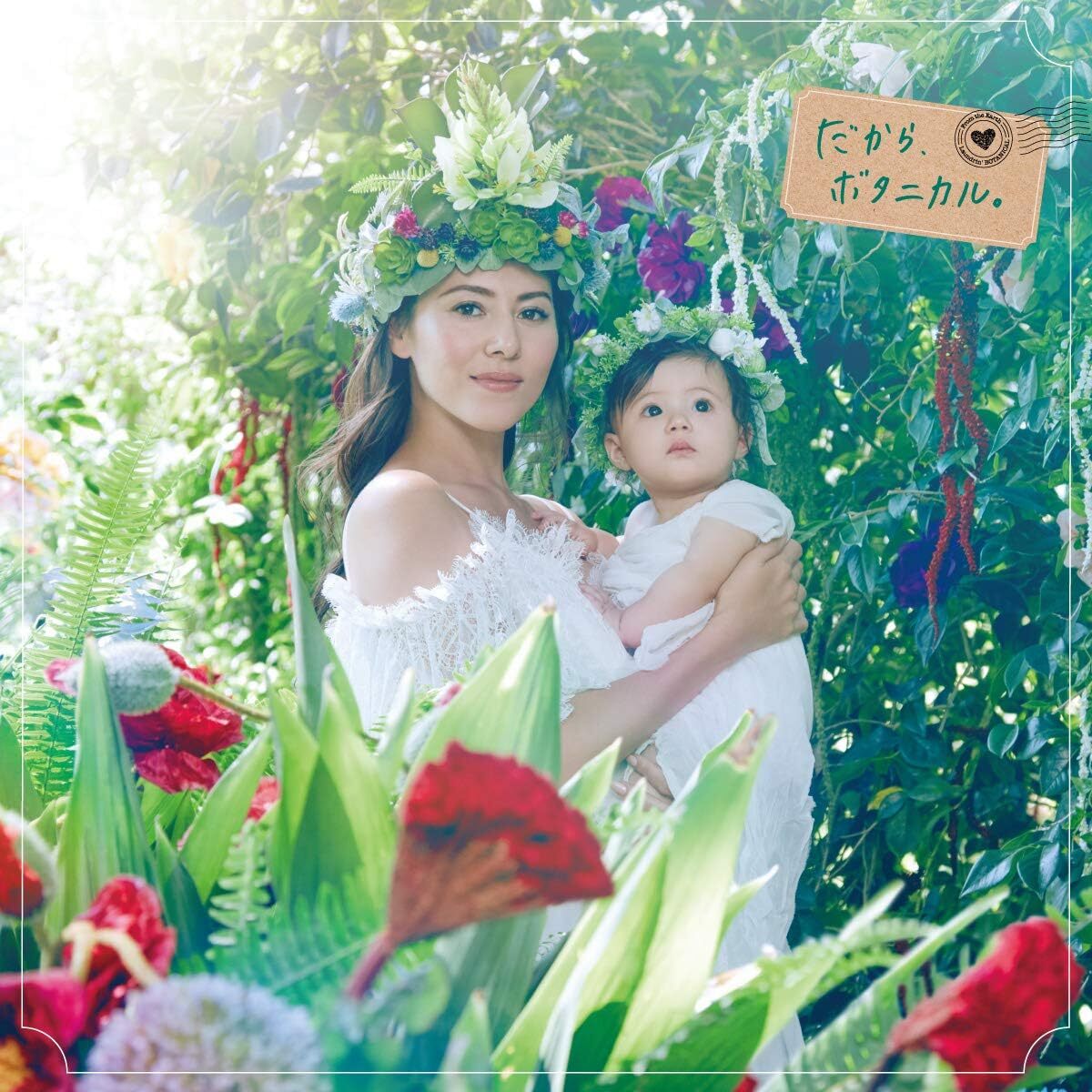 Randolin Botanical Fabric Softener Oversized capacity Bergamot & Cedar ...