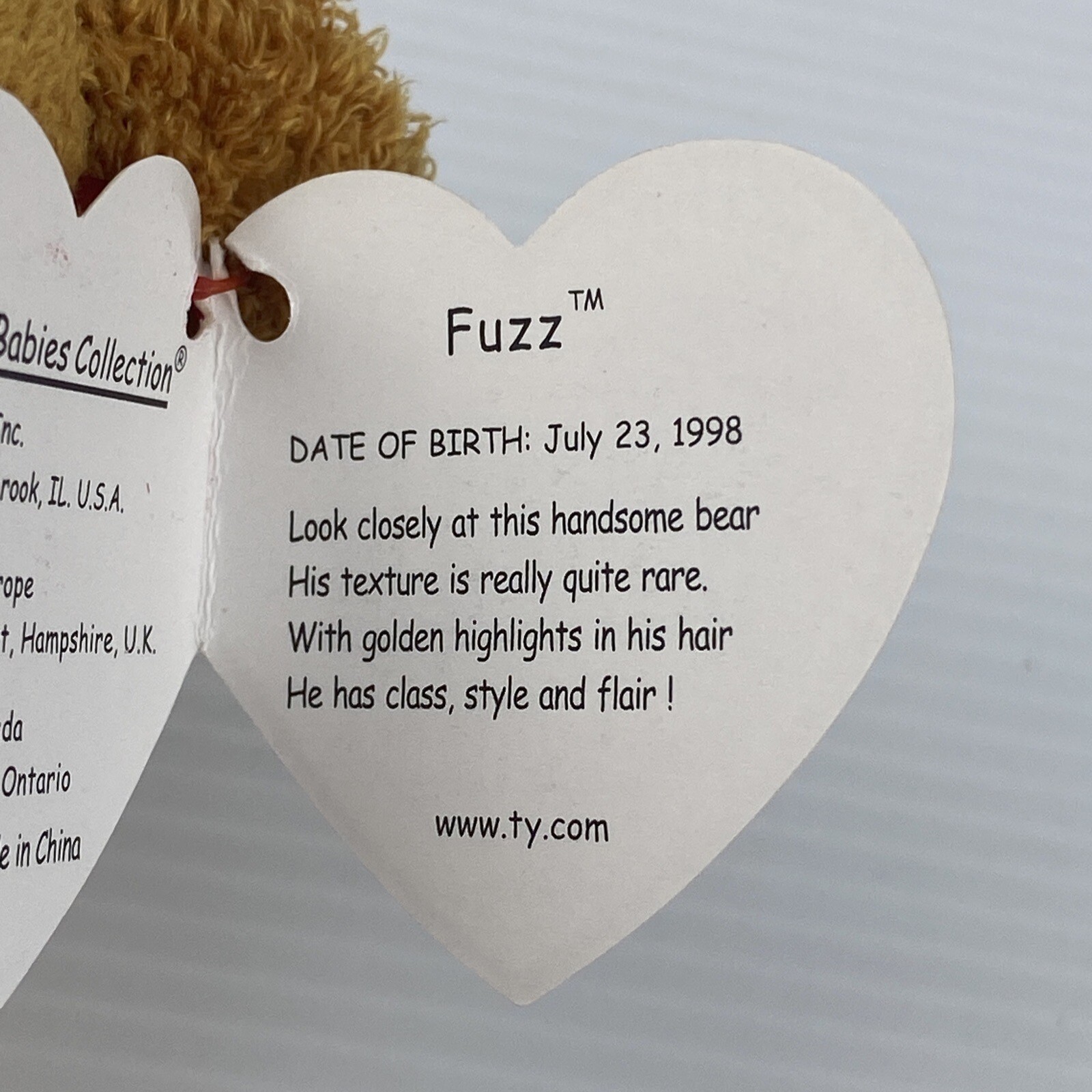 TY Original Beanie Babies Fuzz 1999 Plush Vintage Collectable Bear With ...