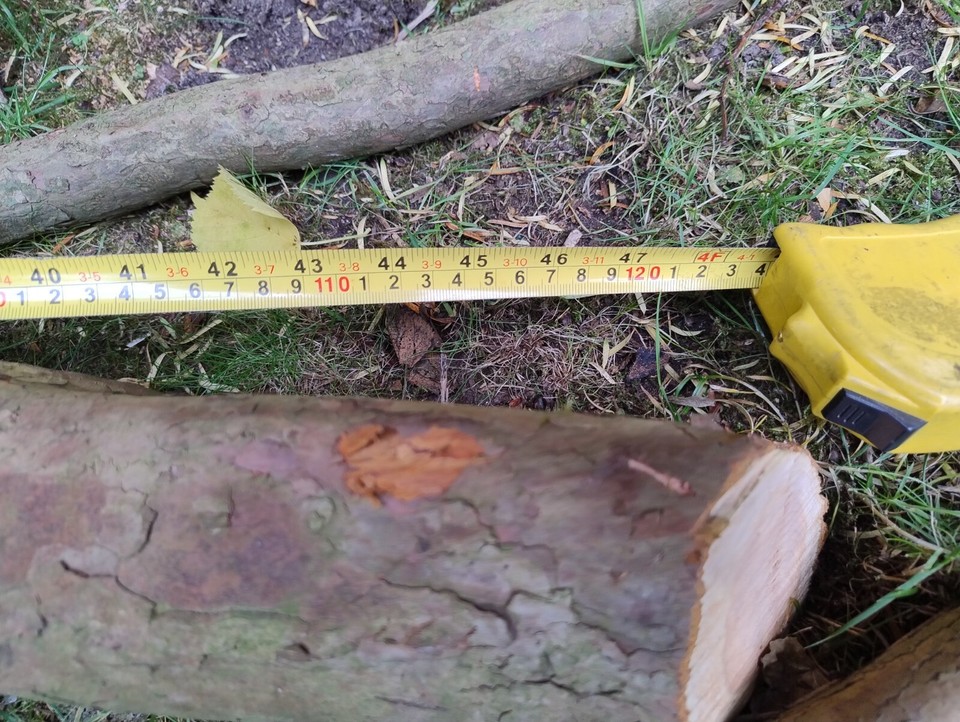 Yew Wood Logs Job Lot for Wood Turning Carving Crafts Projects etc ...