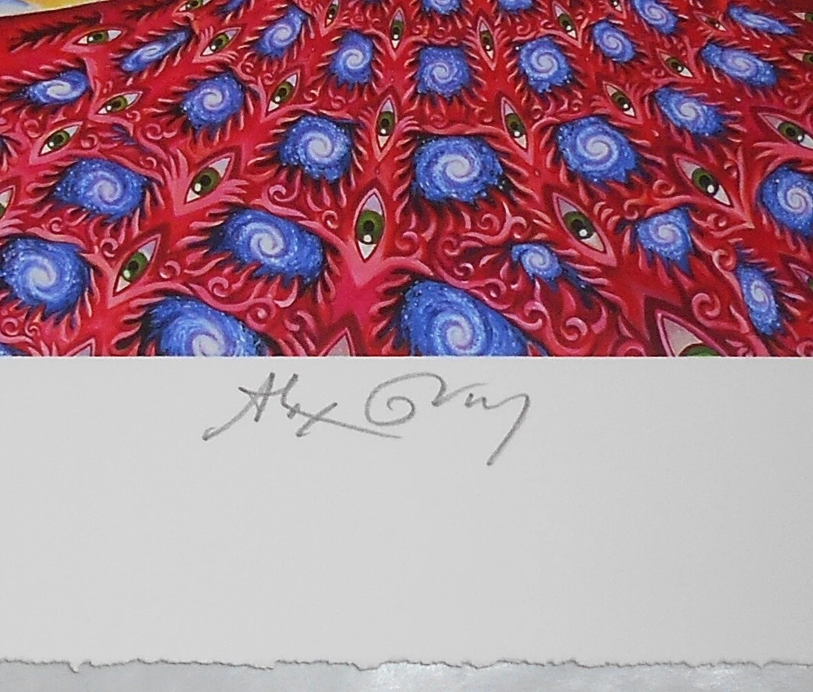 Alex Grey Tool 10000 Days