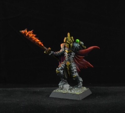 Painted Wraith King from Reaper Miniatures male D&D evil character ...
