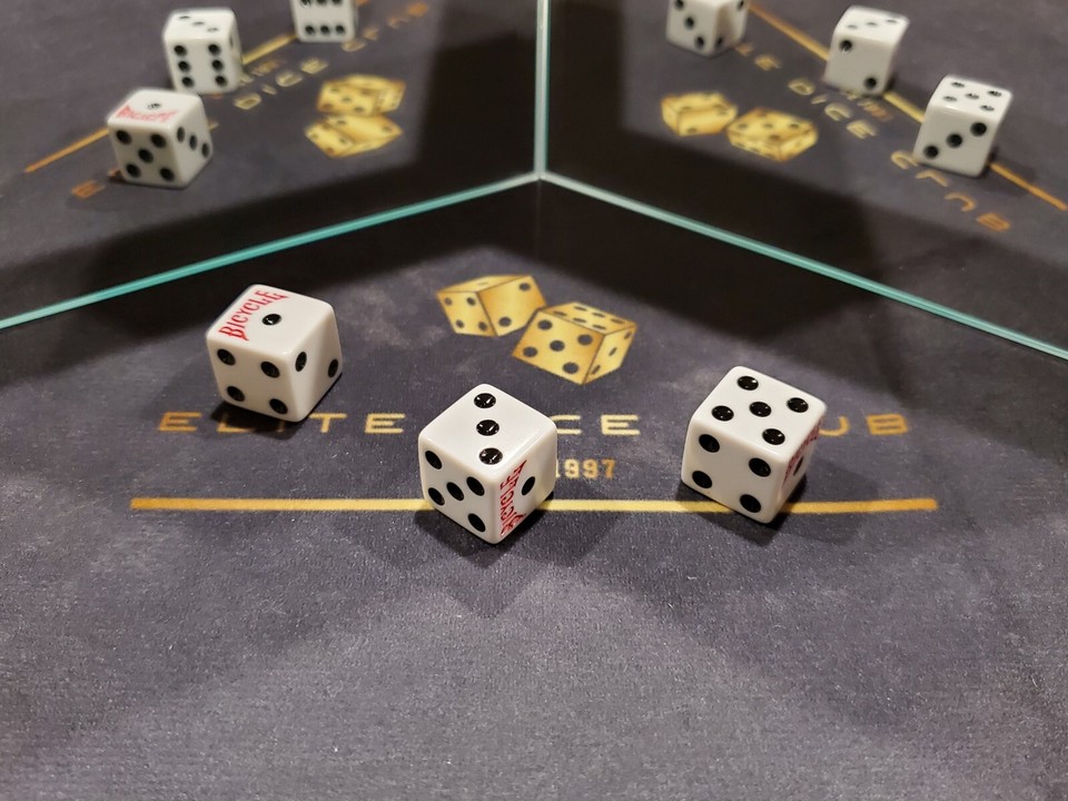 Loaded dice Gaffed dice Trick dice Magic dice Weighted dice | eBay