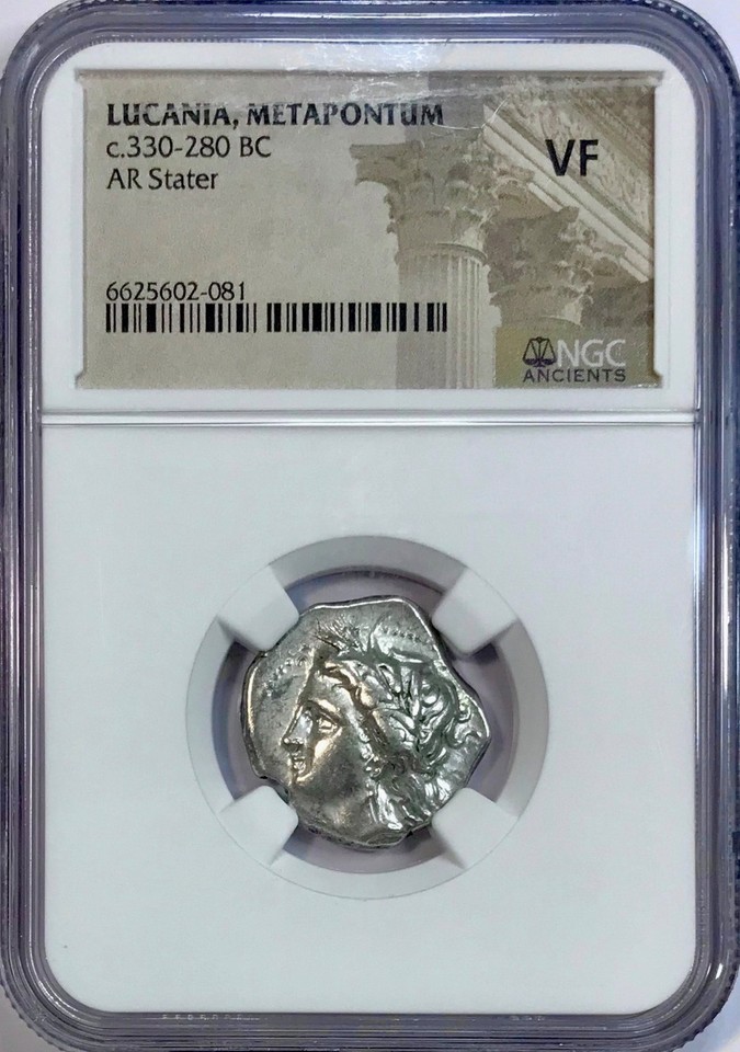330-280 BC Lucania Metapontum Ancient Greek Silver Stater Coin NGC VF ...