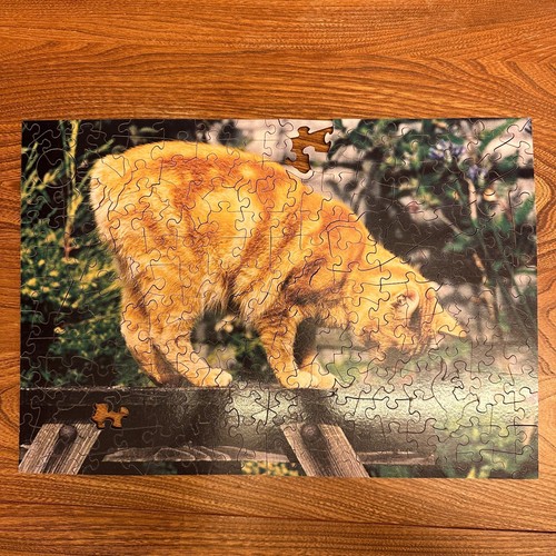 Wentworth 250 Jigsaw Puzzle 2/3 MISSING PIECES Ginger Manx Cat Crafts ...