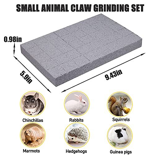 Rabbit Scratch Foot Pads 2Pack Bunny Grinding Claw Pad Small Animals ...