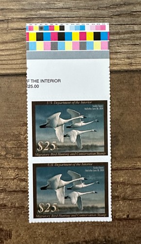 #RW90 2023 - Federal Duck Stamp - MNH **Gutter Color Bar Pair PRESS ...