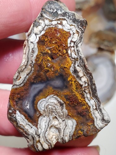 Woodward Ranch Banded Plume Agate Nodule Polished Alpine Texas 47g | eBay