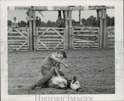 1967 Press Photo Cowboy ropes cow at rodeo in Florida - afa41848 | eBay
