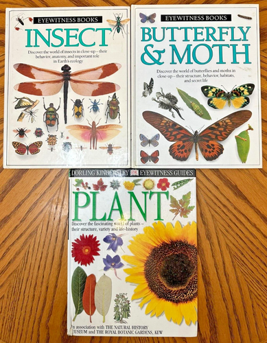 Eyewitness Books Lot Of 3: Insect, Butterfly & Moth, Plant | eBay