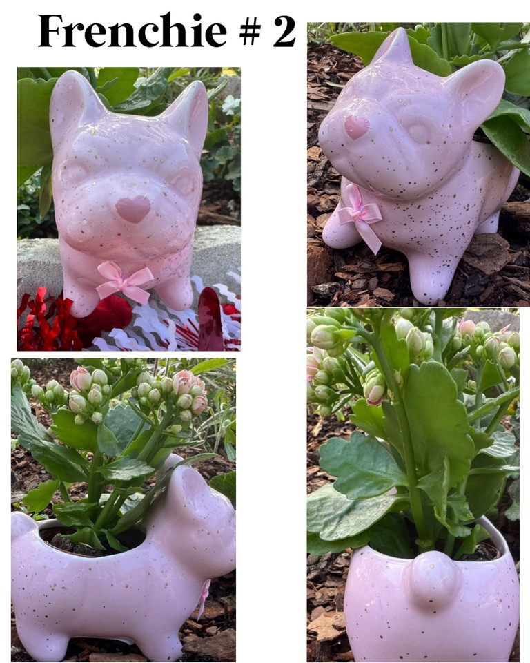 Valentine’s Day Pink Frenchie Bulldog Ceramic Planter NWT | eBay