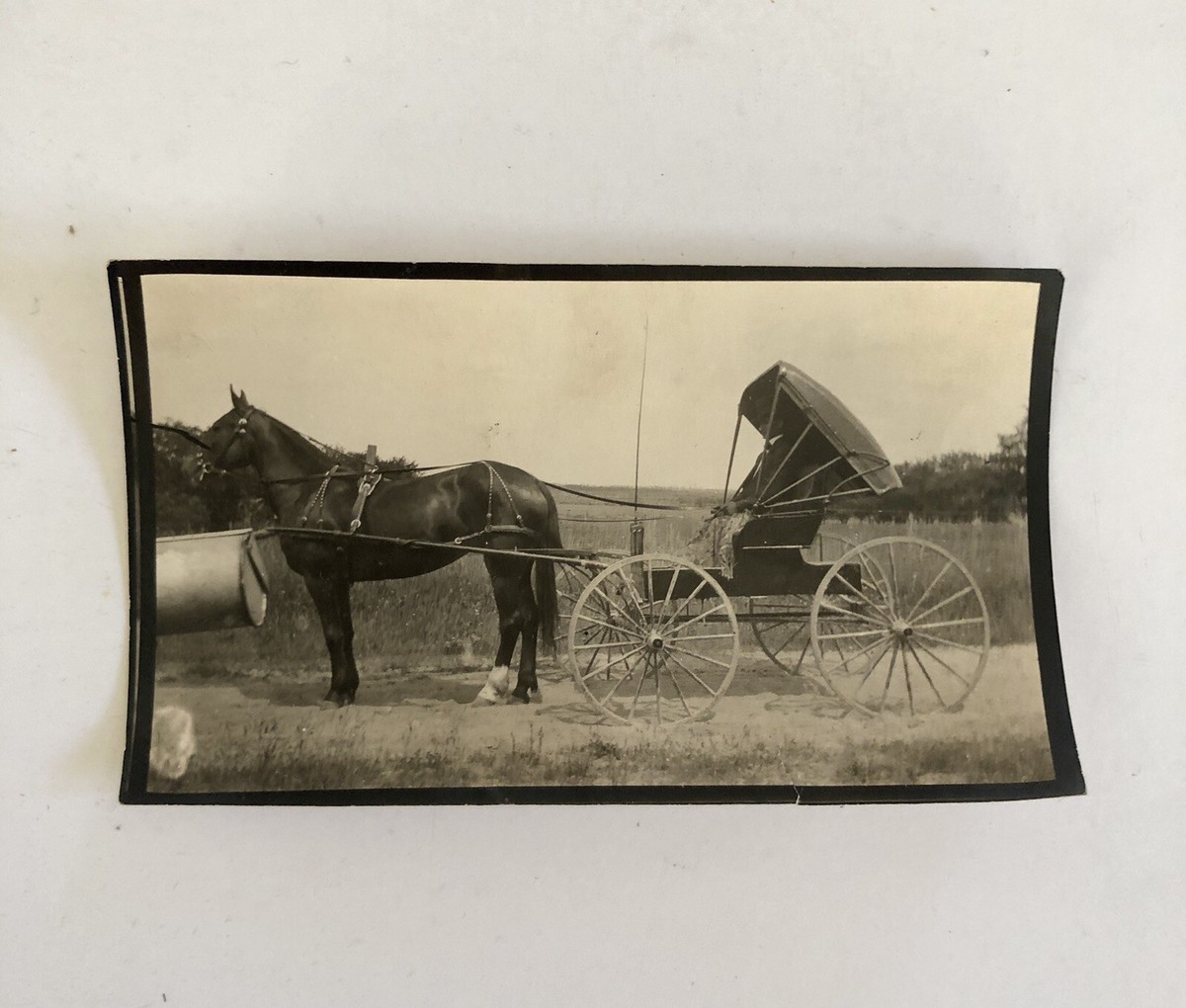 1900 Horse And Carriage Horse Drawn Omnibus And Passengers, London,