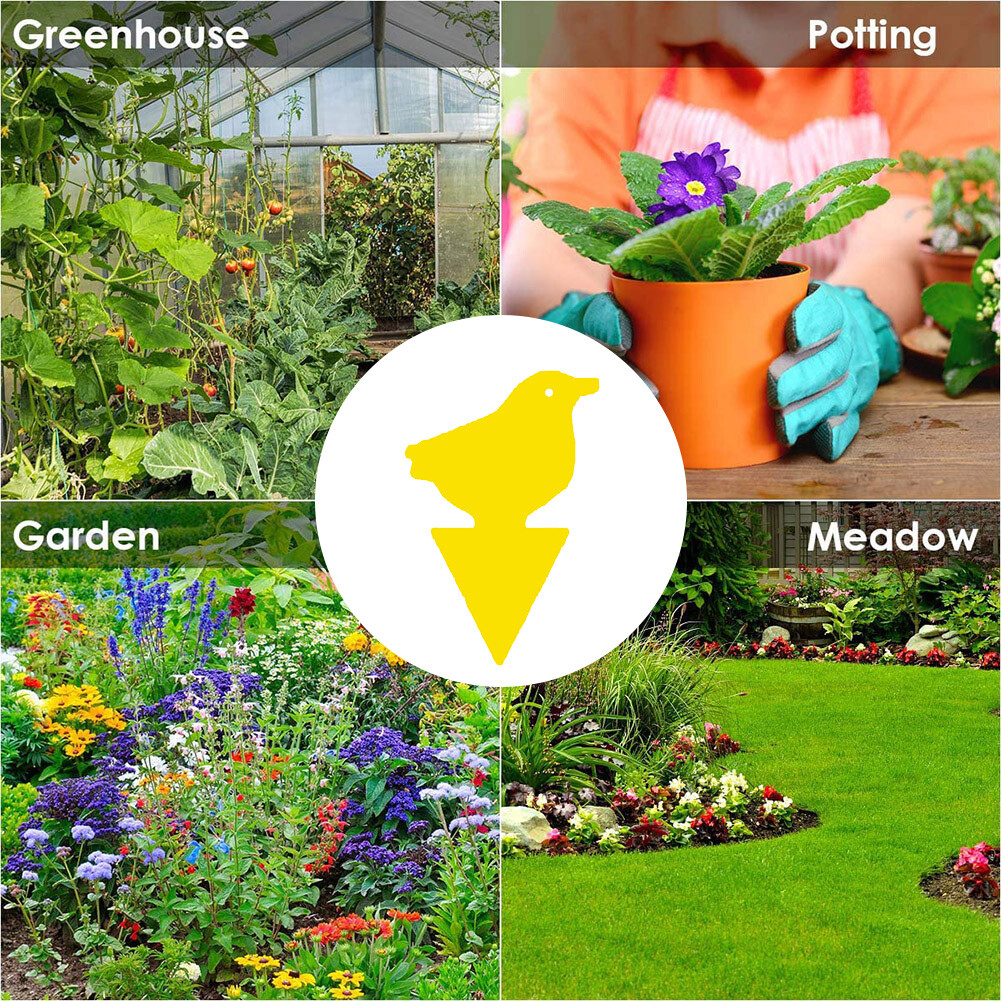 10pcs Fruit Fly Trap Non-Toxic Dual-Sided Yellow Sticky Fly Traps ...