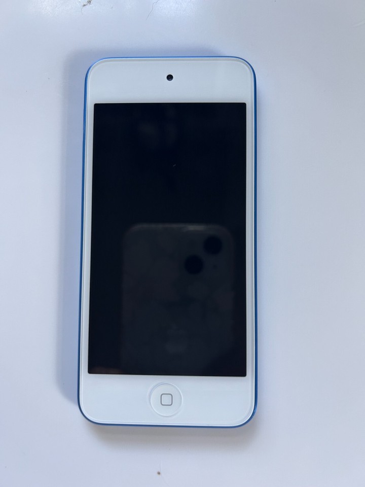 Apple ipod touch BLUE 6th generation | eBay