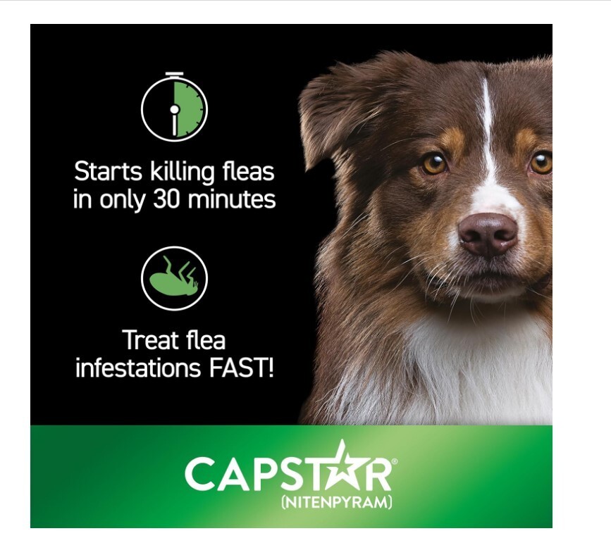 Capstar Flea Tablets for Dogs 11.5kg-57kg – Fast-Acting Oral Flea ...