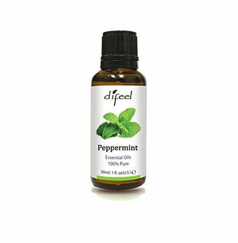 Difeel Essential Oil Focus 3PC Collection: Peppermint, Clove ...