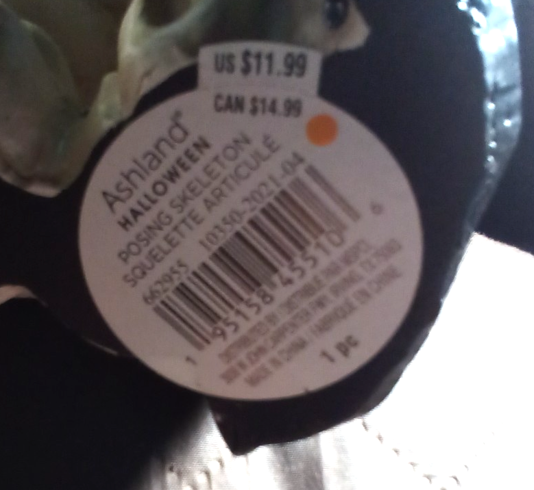 Ashland Halloween Posing Skeleton Kissing Silhouette | eBay